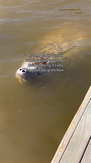 They say if a place keeps calling your name… it’s probably St. Marys, Georgia whispering, “You belong here.” Maybe this little coastal town has been on your mind for a while. Maybe you visited St. Marys or Kingsland once and couldn’t shake the marsh views, the oak trees, or the slow-paced charm. Or maybe you’re finally ready for a life in Camden County that feels a little more you, peaceful, friendly, and rooted in community. Share this with the friend who keeps saying, “One day we’ll move to Co