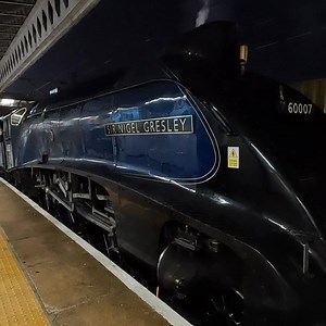 PurpleVision on Reels