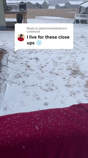 Winter Macro Photography: Up Close with Snowflakes