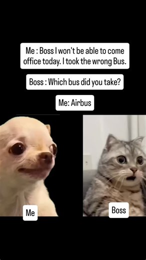 Me : Boss I won't be able to come office today. I took the wrong Bus. Boss : Which bus did you take? Me: Airbus | Dogesh Bro