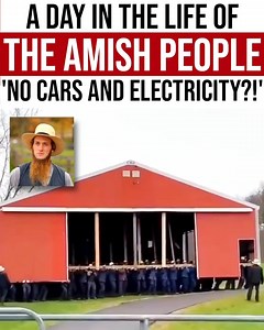 3.3M views · 74K reactions | Ready for a journey to becoming a Better Human? Dive into inspiring stories by following our new page! Nightfam, welcome to the mysterious world of the Amish people... | Project Nightfall | Facebook