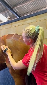 266K views · 1.7K reactions | Check out this fab tutorial by Alex Jackson (@grooming1100) on how to create super sharp quarter marks on an event horse  Alex uses: - Super Shine mixed with some water  - Suede Cloth  - Quarter Marking Gel 林 - Quarter Marking Brush ⚡ - Gloss N Go Finishing Spray (Now replaced with new and improved Super Shine Spray) ✨ https://smartgrooming.com/collections/quarter-marking | Smart Grooming | Facebook