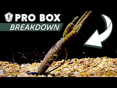 Breaking Down The Baits From a Recent MTB Pro Box with TightLineTV!