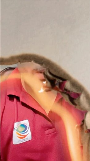 Schengen Visa Validity Explained, 90 Days or 180? Understand the Rule!#ytshorts