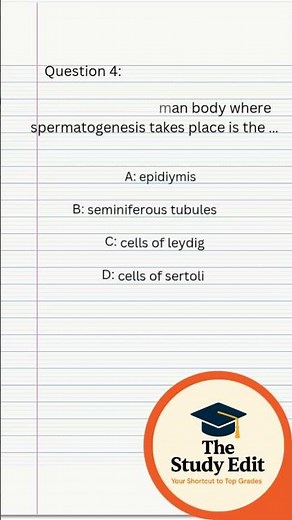 Life Sciences Grade 12 MCQ: Where does spermatogenesis happen? | Reproductive System NSC Prep