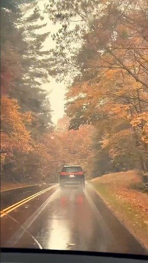 🍂 Breathtaking Autumn Fall Colors in Boone, North Carolina | Blue Ridge Parkway Drive