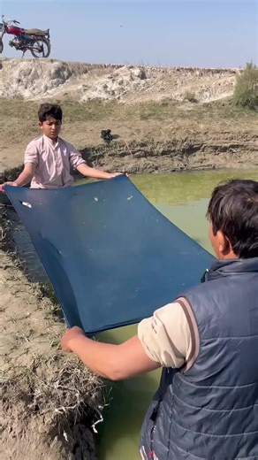 #for #foryou #foryoupage #viral #fish | Fish