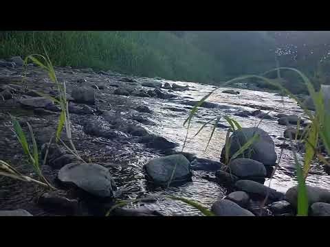 Night River Sounds | Water Flow Under Moonlight for Sleep