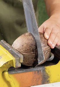 He created a unique instrument out of coconut! SOUND ON 🔊 | Health is Wealth