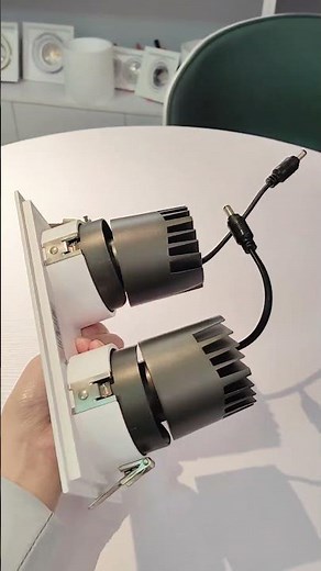 Recessed double head downlight