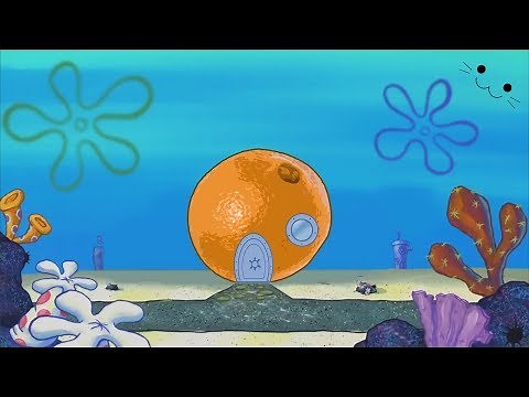 Who lives in a orange under the sea