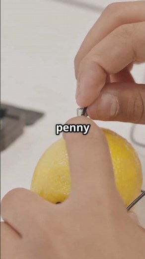 Power a Bulb with a Lemon?🍋💡Science Experiment?