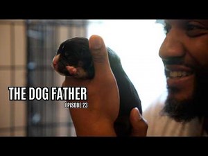 The Dog Father: "Canine Reproduction 101" (Ep. 23)