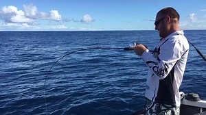 5.1K views · 42 reactions | Watch this video sent in from Scott Clarke from Western Australia. He shows and explains the correct technique for using a rod when reeling in a fish... He lands a nice fish while he's at it too.... Cheers Scott! | Black Magic Tackle | Facebook