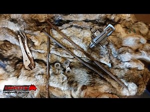 Predator Trapping with Rebar Stakes