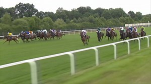 8.4K views · 160 reactions | In 2018 at Ascot Racecourse CALYX maintained his unbeaten 2YO record when winning the Gr.2 Coventry S. defeating Sergei Prokofiev, Advertise, etc. He has since made a lightening fast start at stud, siring 3 Group winners from his first crop and has a higher percentage of black type horses than Blue Point! #CoolmoreSires #HomeOfChampions | Coolmore Stud | Facebook