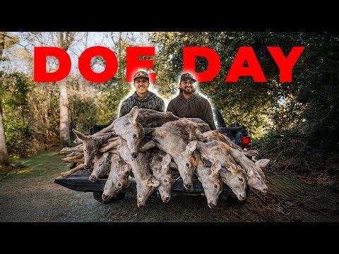 SEEK ONE DOE DAY (We've Never Done This)