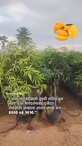 2.9K views · 94 reactions |...