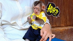 Super Caring Mommy Boiling Carrot and String Bean for Adorable Baby Monkey Axel Eating Looking So Huh Huh | Julius Monkeys