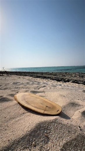 new Catch & Cook video from a magical island in the Red Sea | Islam Fishing