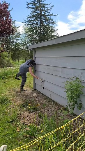 I saw this going differently in my head. #coopcam#chickenrun#lettingthechickensout#chickentok #lesbianfarmers #lesbiancouple #layinghens #womanwhofarm #homesteading #hummingbirsfarms