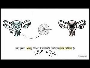 Class 8th chapter 9 reproduction in animals in Hindi medium#reproduction#ncert#science #reproduction