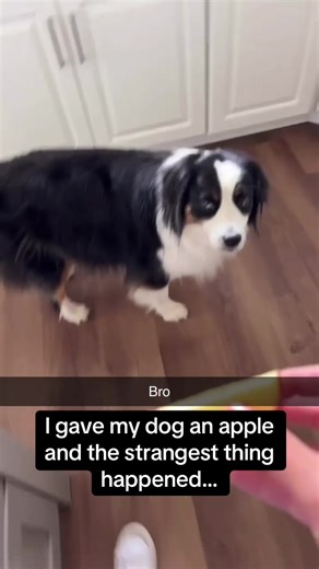 He was a worm in his past life 🤣🪱 #RoadTo18M #Pubity (@mckennasteffensen via Collab)