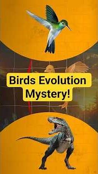 Birds Evolution Hoax | Technical Prabhuji