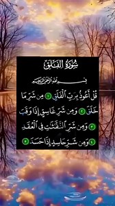 1.5M views · 113K reactions | The history of #photography began with...