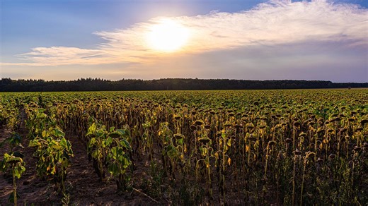 European Cities Adapt to High-Pressure Weather Patterns