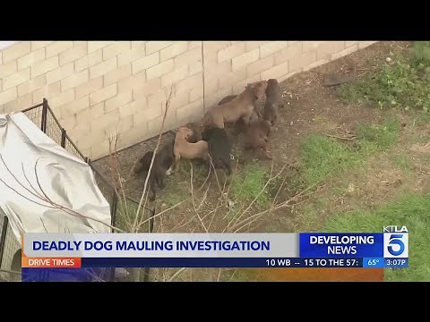 Compton pit bull breeder mauled to death by his own dogs