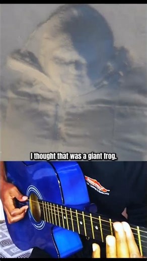 I Thought Wrong. #guitar #shorts #meme