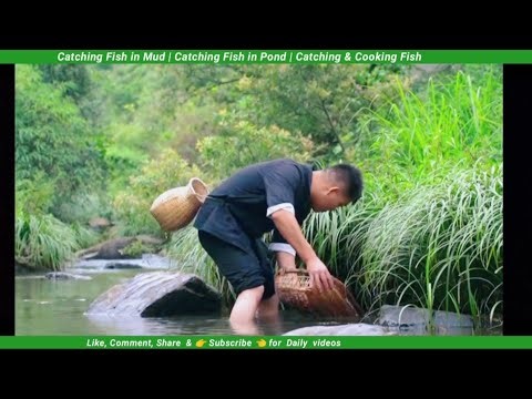 Man Catching Fish in River | Catfish & Eel Catch and Cook - Traditional Fishing Style