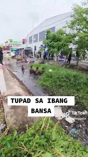 Understanding TUPAD Programs in the Philippines