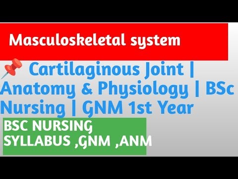 Cartilaginous Joint Explained | Anatomy & Physiology | BSc Nursing 1st Sem | GNM 1st Year