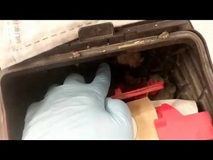 How NOT To Treat Your Miele Vacuum Cleaner-Vacuum Warehouse