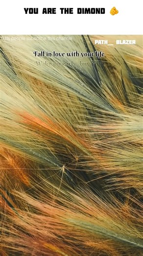 Change your life #pathblazer