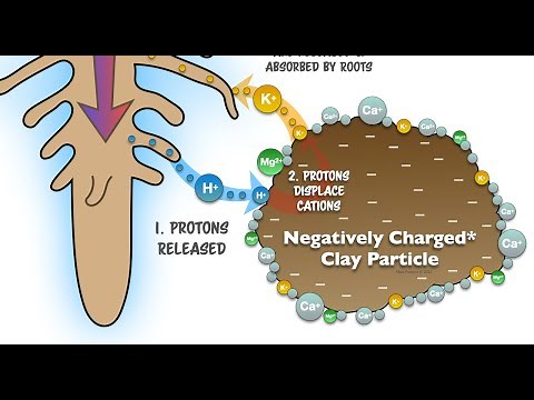 Organic Matter Expands CEC + the Classic Chemistry | Regenerative Soil