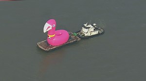 Inflatable pink flamingo spotted in NY Harbor
