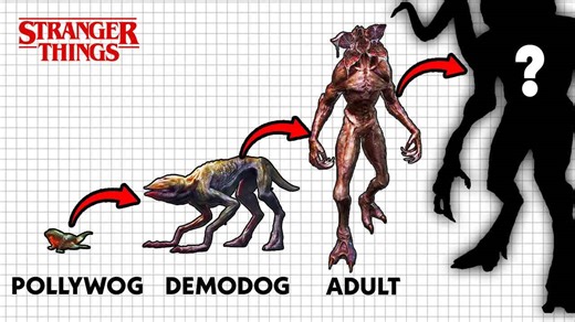 How big do Demogorgons get? | Stranger Things