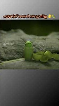 പുഴുവിന് ലൈൻ സെറ്റായില്ല 😓🐛 #shorts #short #shortvideo #viral #reels #shortsfeed #youtubeshorts