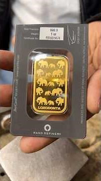 Gold Bar vs. Hammer: The Ultimate Force Test