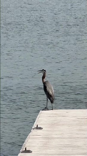 "Amazing Lake Conroe TX – Hidden Gem of Texas!"