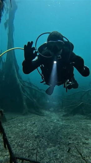 We found a car buried for over 80 YEARS in a deep swamp