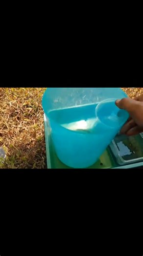 20K views · 281 reactions | Proses Hp cina Samsung flip E1272 E1195✅ Grade cina Samsung #recovery_gold #tutorial #emas_perk #samsung_flip #buyback_logam_mulia_ex_elektronik | Bendi | Facebook