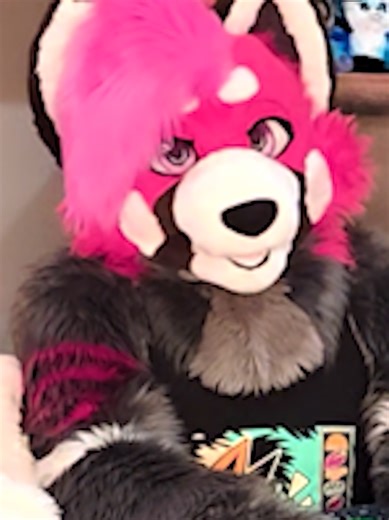 Scooter Has Puppy Brain Welcome back to Paws Play! Today, Wolfe takes his friends through an absolute obstacle course of a game show. The points used to matter; now they just point and laugh 😂🦊❤️🧡 #PawsPlay Check out the full episode here: https://www.youtube.com/watch?v=htCfor6jX7k @Wolfe Masters @DraftStallion @Damaronwolf @Scooter