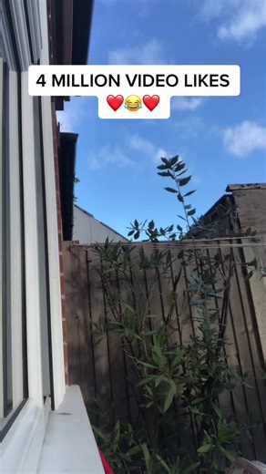 #hellodarlingitsjustmecrazywindowlady #sorryaboutthat #ukcomedy #britishhumour #britishcomedy #fyp #cwl #thankyou #4millionlikes #swanky