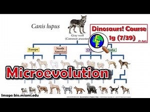 Microevolution: How does a Species evolve? (1g - 7/39)