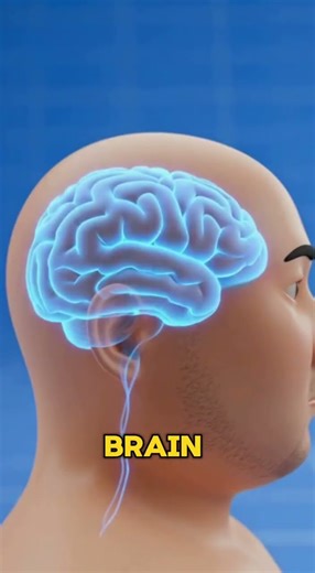 Why Your Brain Chose Your Dominant Hand #science #psychology #brainpower