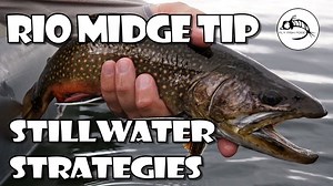 1.5K views · 74 reactions | We did a little feature on the RIO Midge tip line and some strategies to fish it during a hatch on a lake or reservoir. Check out the full version on our Youtube channel: https://www.youtube.com/watch?v=Ivub5wPvzdI | Fly Fish Food | Facebook